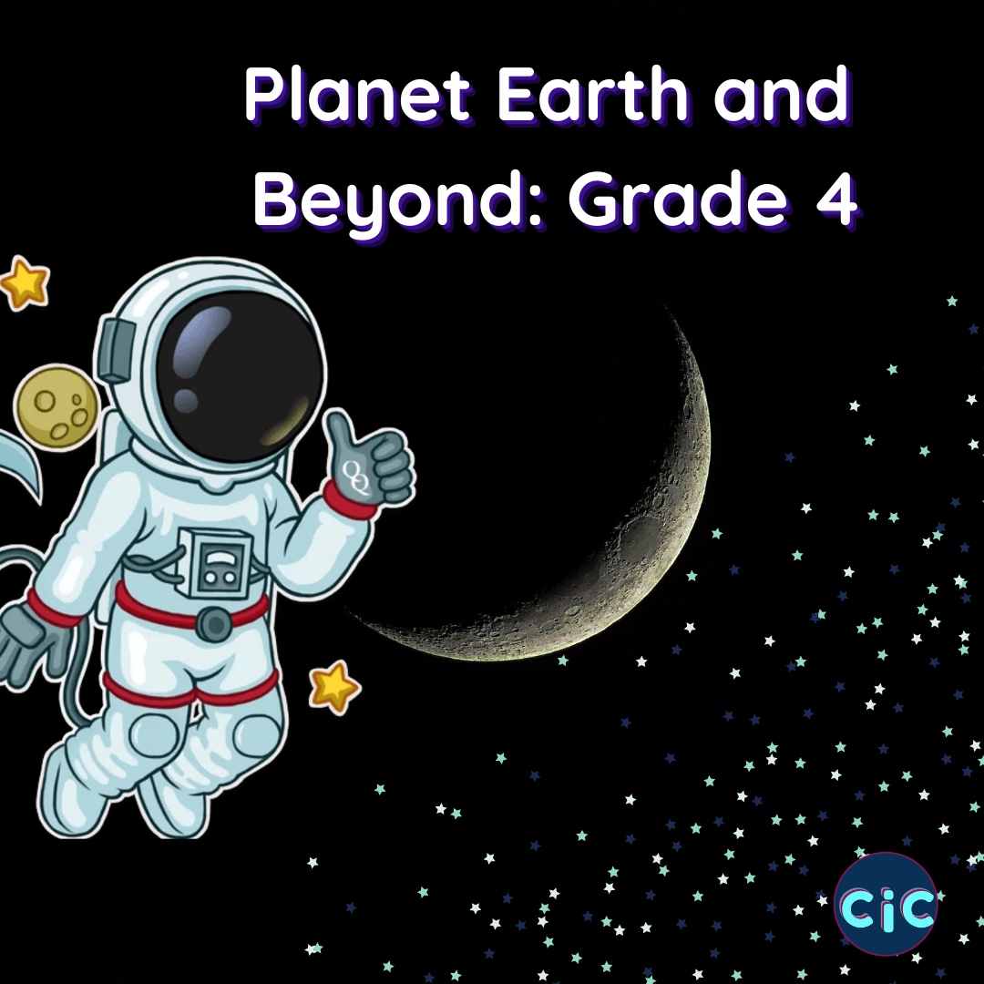 Grade 4 NST Term 4 Planet Earth And Beyond Coach In The Class