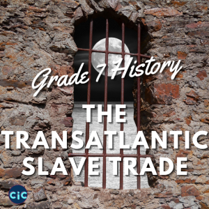 Grade 7: History: Term 2: The TransAtlantic Slave Trade - Coach in the ...